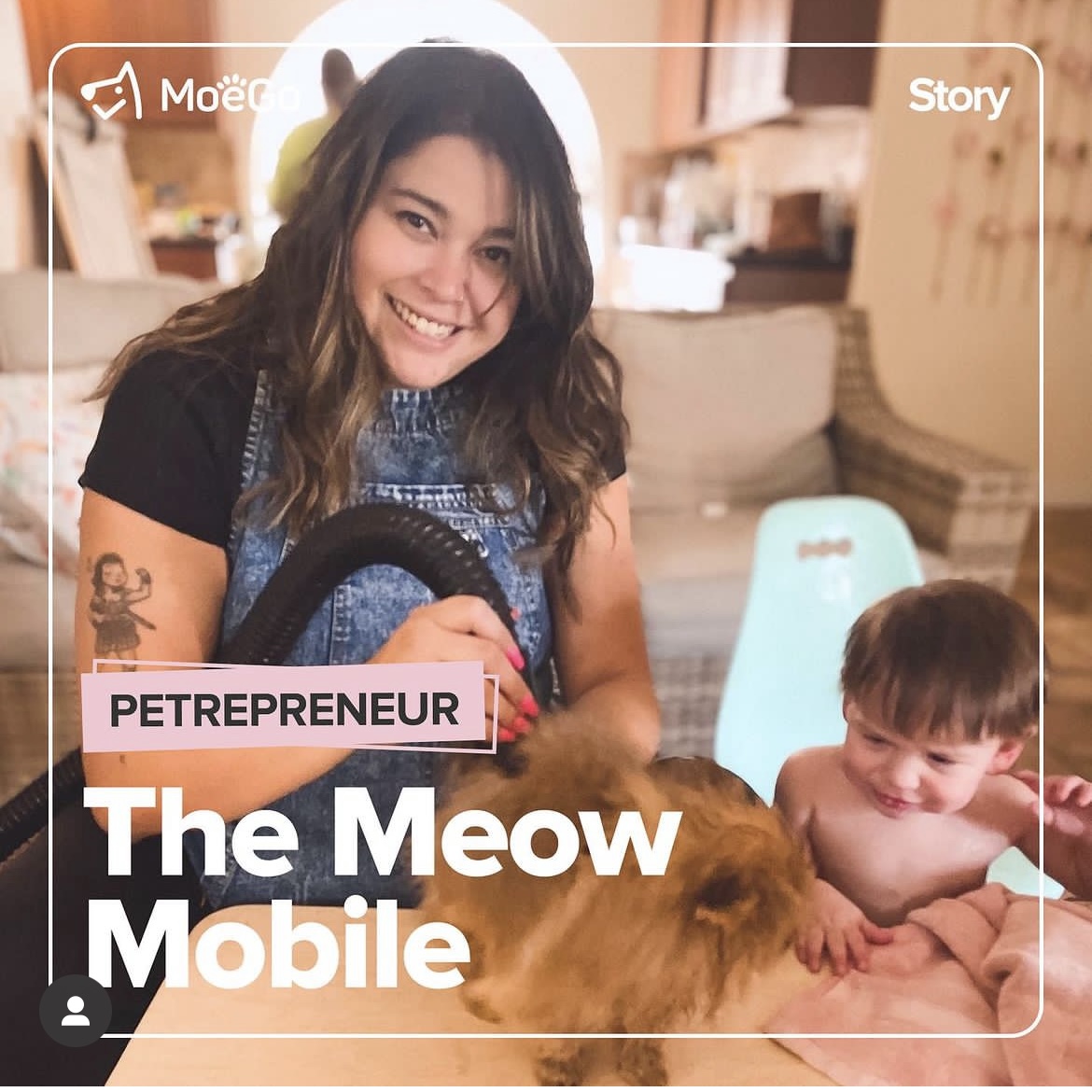 About Me – Cat Groomer